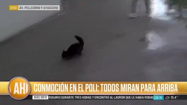 Hizo el salto del papu :v - Meme subido por ElChupaPingo :) Memedroid