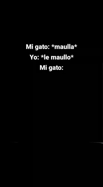 Gato Meme Subido Por Xxchicahornyxx Memedroid