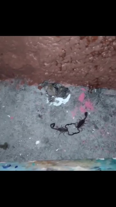 Baile - Meme subido por Sandro916 :) Memedroid