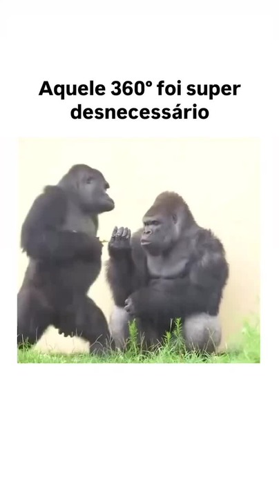 Sera que foi? - Meme subido por Allan_Suoza :) Memedroid