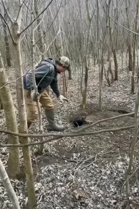 Little stinker - Meme by Cliffy_99 :) Memedroid