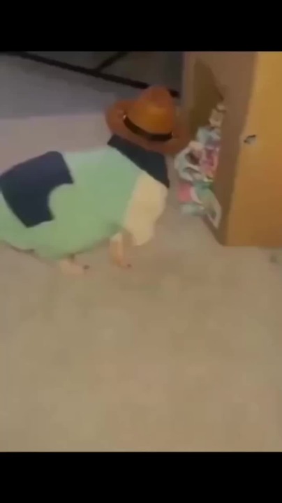 Dale ? - Meme by 123CafE :) Memedroid