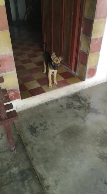 !Ven aquí! - Meme subido por 1Benja1 :) Memedroid