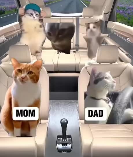 Family roadtrip - Meme by exonx5 :) Memedroid