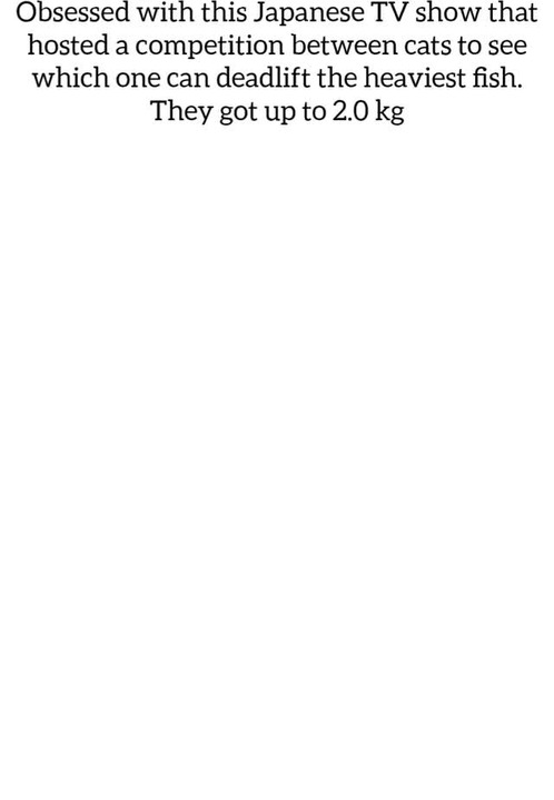 Cat deadlifting competition - Meme by nGora :) Memedroid