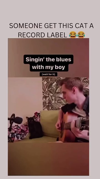 get him a record deal - Meme by tamikins123 :) Memedroid