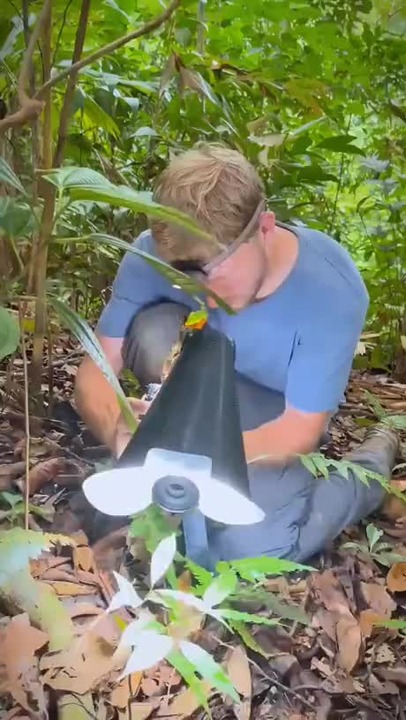 It's good they're tiny - Meme by Hupesquid :) Memedroid