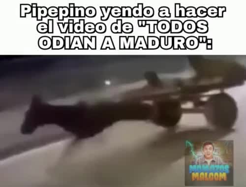 Ya duerman a pipepino - Meme subido por Momazos-Malcolm :) Memedroid