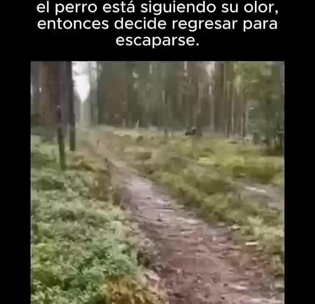 Pensar correcto es lo que hago - Meme subido por vicecity123f :) Memedroid