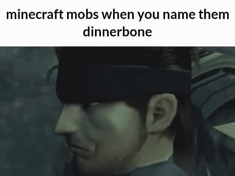 Name your Minecraft mob Dinnerbone, watch it flip - Meme by messer999 ...
