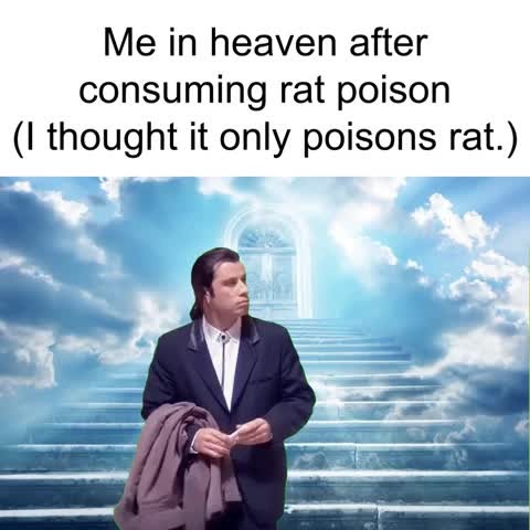 Rat poison - Meme by captaintropical :) Memedroid