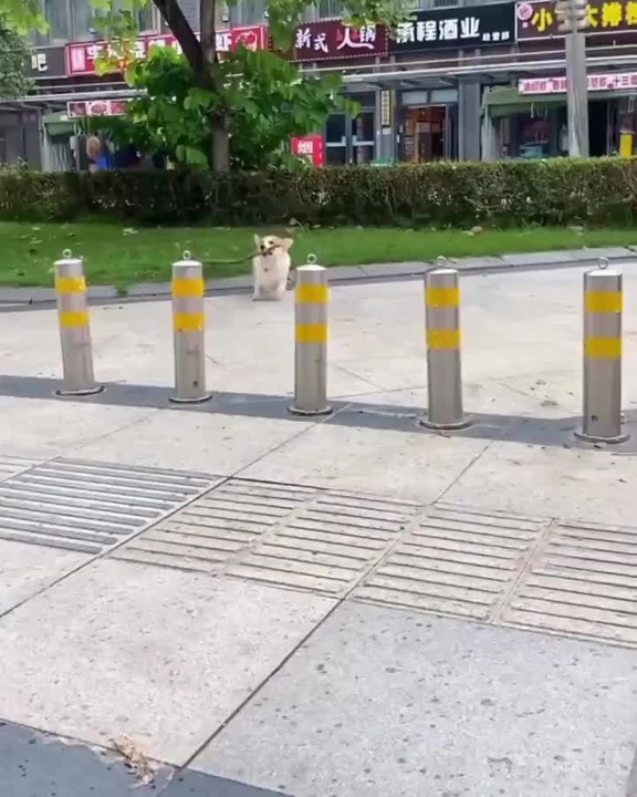 Smart boi - Meme by H00man :) Memedroid