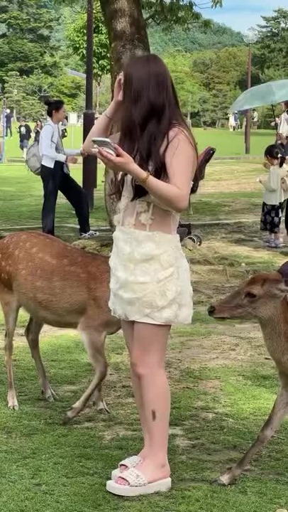 oh deer - Meme by jokcrazy :) Memedroid