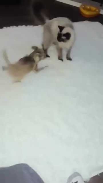 The energy flows strong in him - Meme by KARGETER :) Memedroid