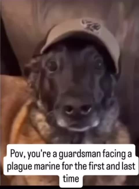 Title - Meme subido por Spectre_7089 :) Memedroid