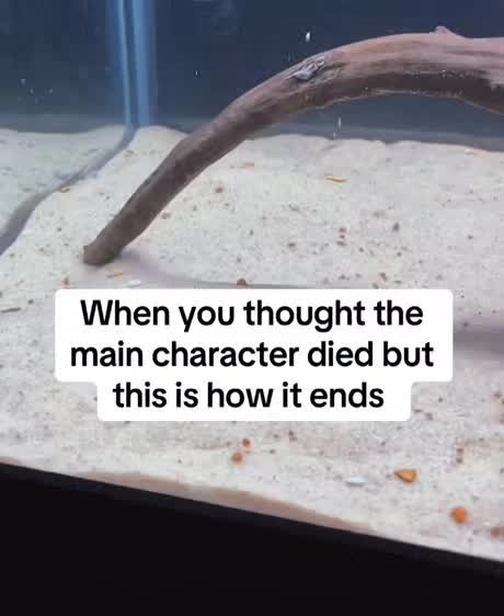 He's alive - Meme by adam1415 :) Memedroid