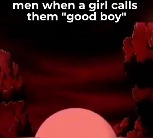 Good boy - Meme by woowerse :) Memedroid