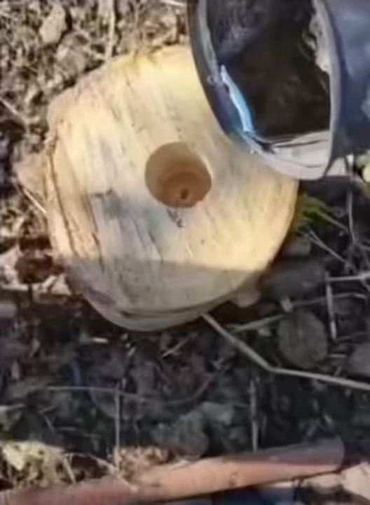 Foiled again - Meme subido por Knot_daddy :) Memedroid