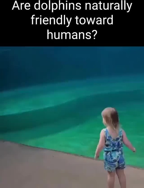 Dolphins get along with humans? - Meme by LordEnemyFire :) Memedroid