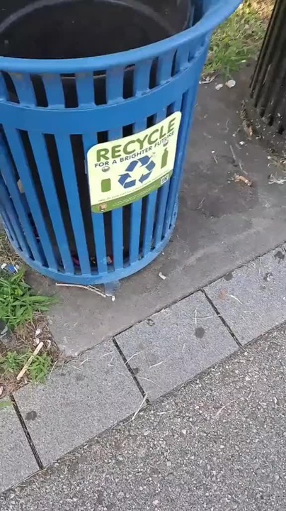 El día de la ardilla - Meme subido por CreamLemonPie :) Memedroid