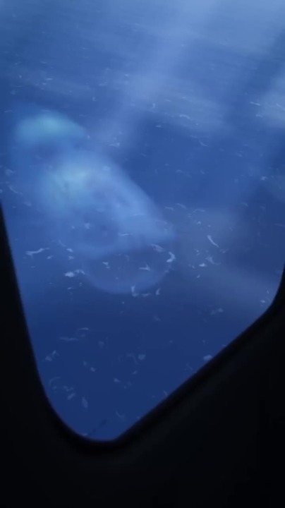 The bloop avanza - Meme by S.H.O.O.T.E.R :) Memedroid