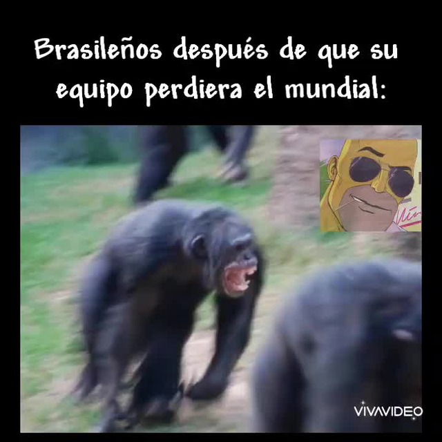 Simios :mememan: - Meme by Kyle12311 :) Memedroid