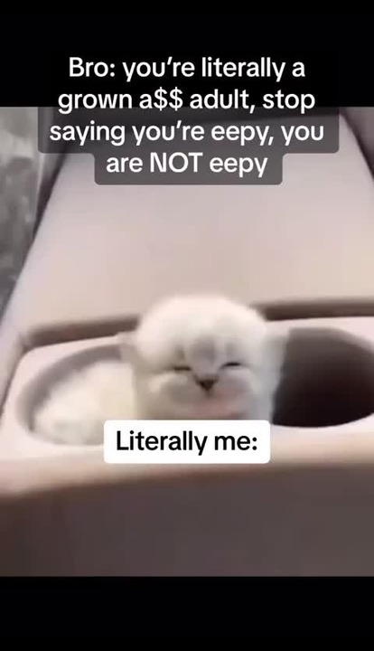 Eepy - Meme by Knot_daddy :) Memedroid