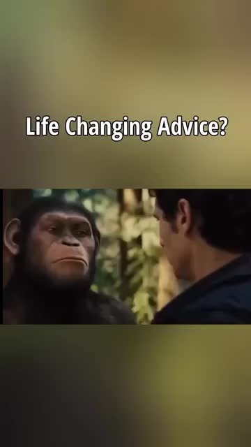 Life changing advice - Meme by blackbirdjay :) Memedroid