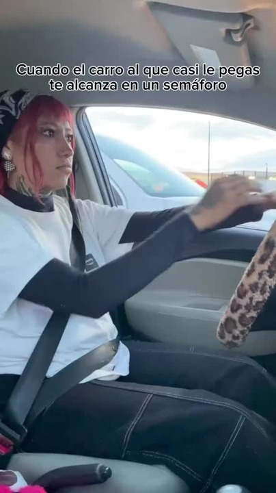 parece que andas manejando con el gogogo - Meme subido por tarik12 ...