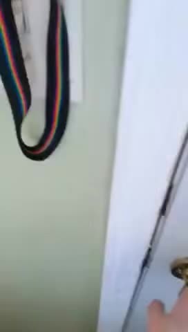 Kitties - Meme subido por avegfoul :) Memedroid