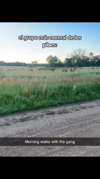 Se unió la banda - Meme subido por Dies442SEID :) Memedroid