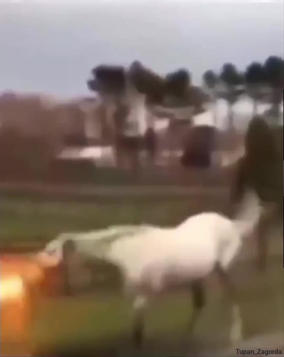 Meet The Heavy. - Meme subido por Tupan_Zagorda. :) Memedroid