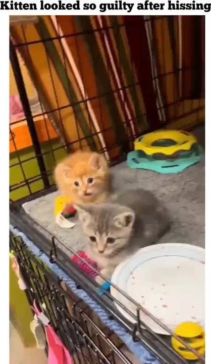 Aww - Meme by moldnugget :) Memedroid