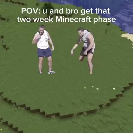 Minecraft phase - Meme subido por tunesrae :) Memedroid