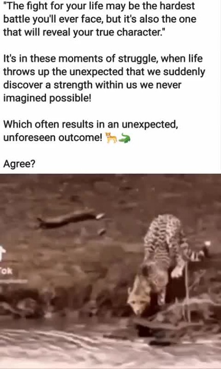 Inner Strength - Meme by overcookedmyboy :) Memedroid