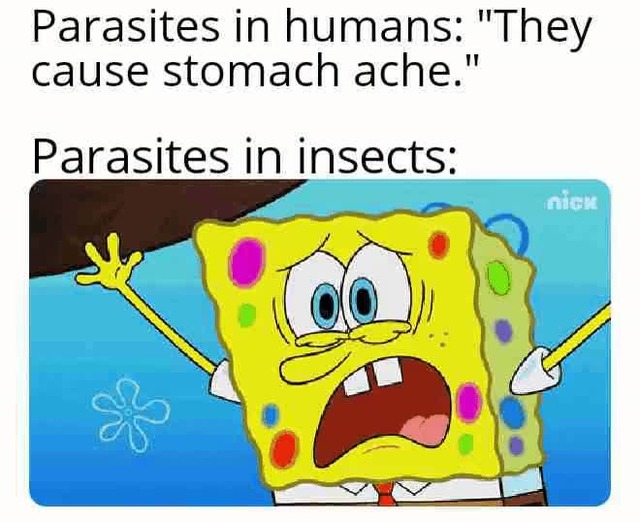 parasite facts - Meme by seanahashram :) Memedroid
