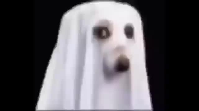Perro fantasma - Meme subido por claudis824 :) Memedroid