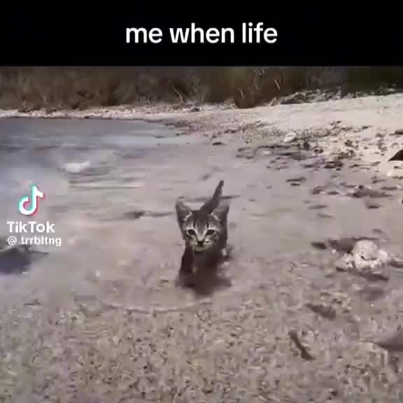 Keep going - Meme by BobboJenkins :) Memedroid