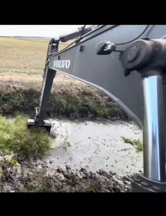 Se esse meme estiver esticado, eu vou atrás da novagecko - Meme by ...