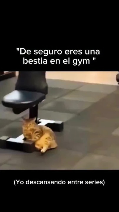 Eres una bestia en el gym (yo con cara de muerto en el descanso) - Meme ...