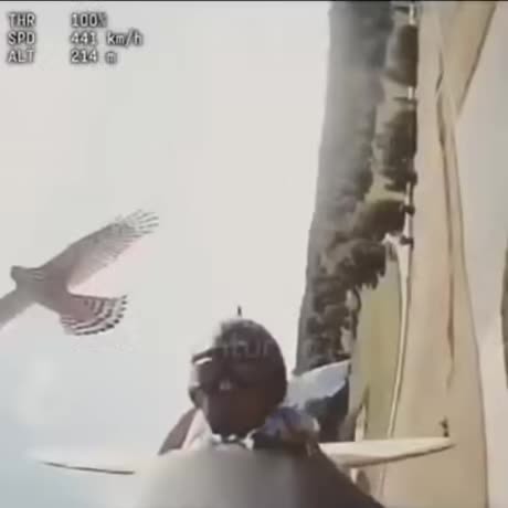 Falcon vs plane pilot - Meme by mafiadax :) Memedroid