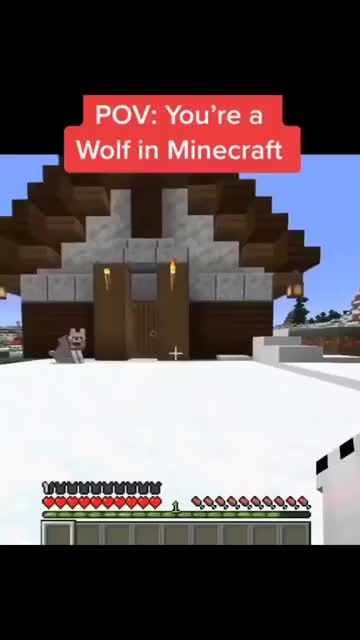 POV: Your're a wolf in MInecraft - Meme by abheek_dota :) Memedroid