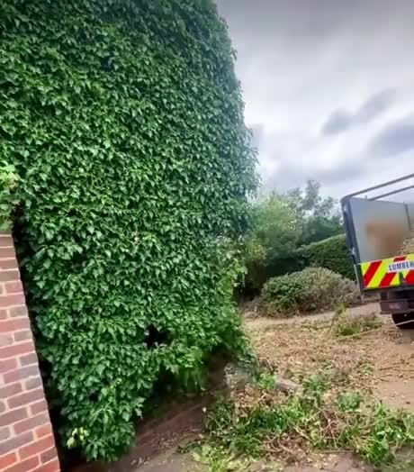 Fast and easy cleaning - Meme by schizoidman :) Memedroid