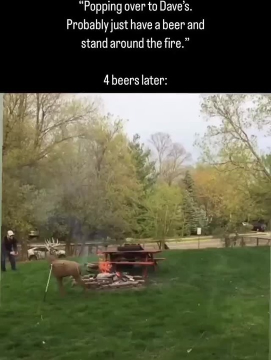 'Just one beer at Dave’s' is the biggest lie of the decade - Meme by ...