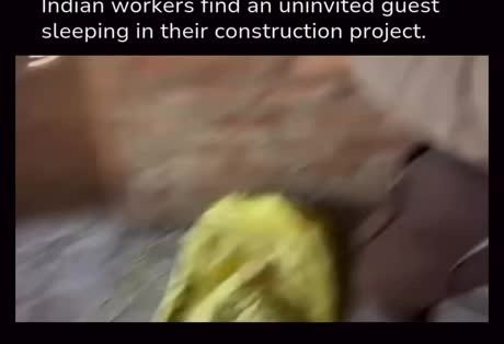 indian scary noises - Meme by yagash :) Memedroid