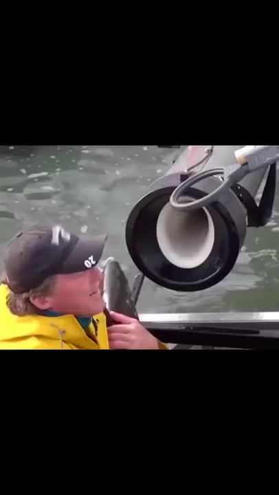 Send it - Meme by ZiggyStarburst :) Memedroid