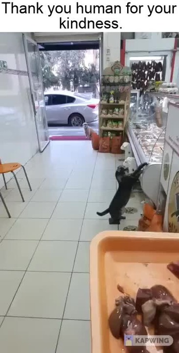 Sharing is caring - Meme by Disappointed_father :) Memedroid