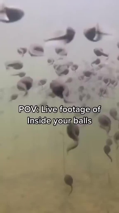 Bolas - Meme subido por deleted_c082040d748 :) Memedroid