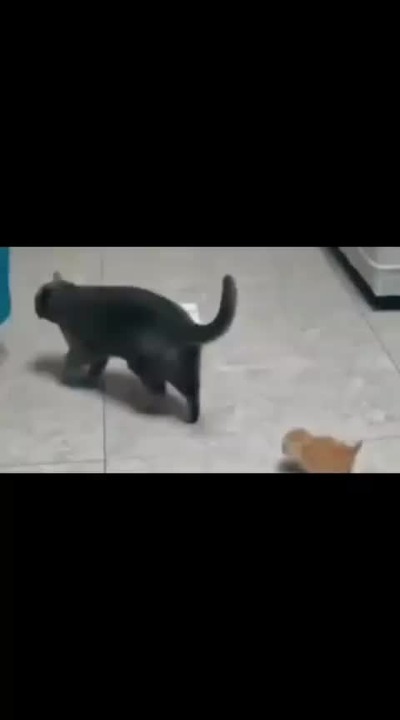 Aaa - Meme subido por MAKARA_OwO :) Memedroid