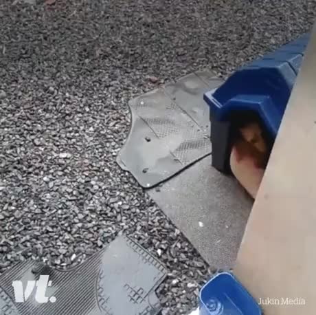 A surprising visit - Meme by schizoidman :) Memedroid